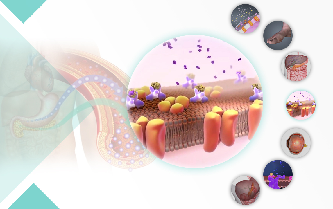 Exclusively for endocrinologists: The launch of the largest 3D ...